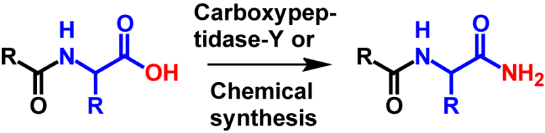 Amidation Blog Pi