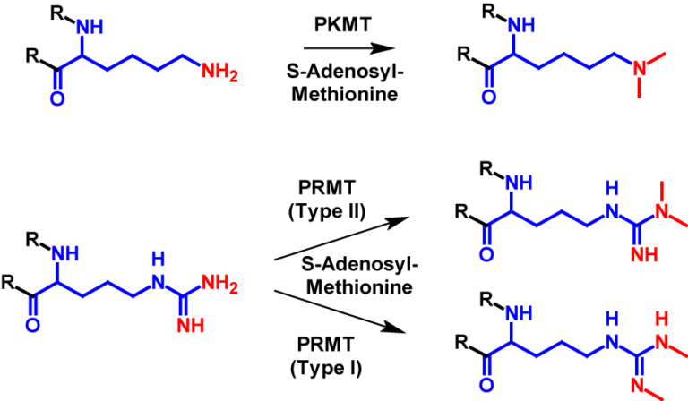 Blog pi – Bioanalytics and Bioinformatics